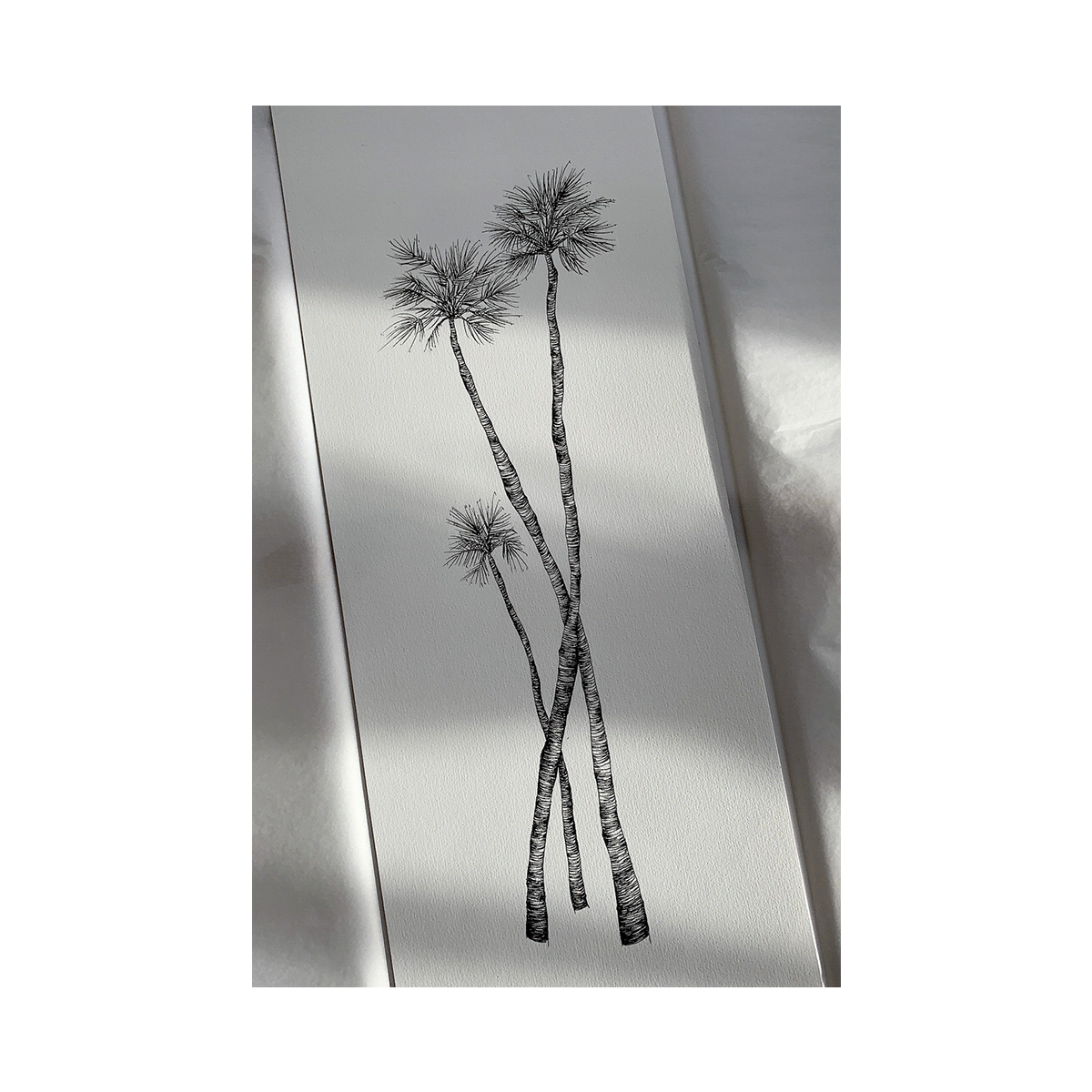 S N Website Articles Black Lines Header 01 1200x1200 gif v 1641407388 s-n-website-articles-black-lines-header-01-1200x1200-gif-v-1641407388
