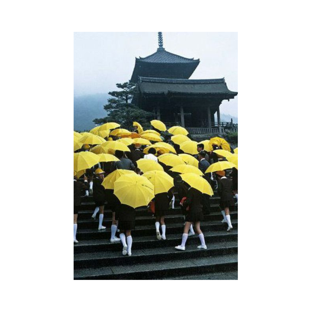 6_1200x1200.png?v=1684133539