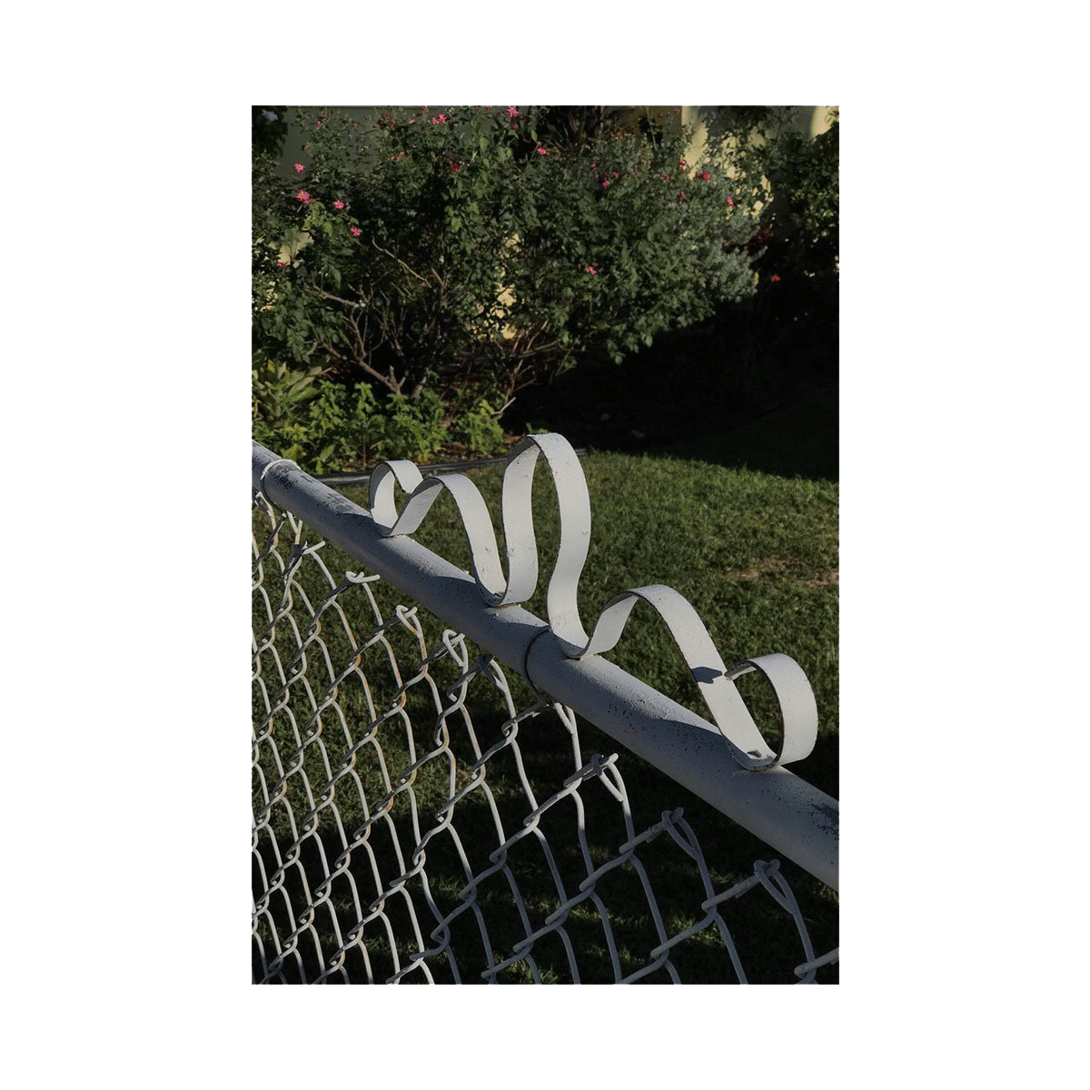 S_N_Articles01_Tropic-Light_Header_1200x1200.gif?v=1641407380